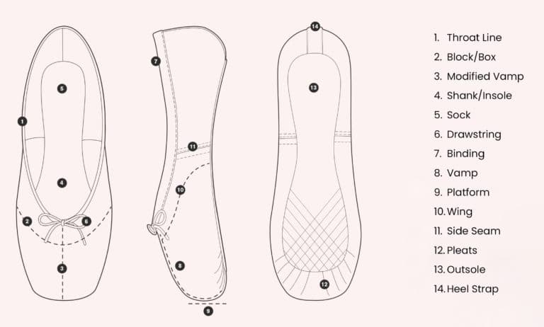 Pointe Shoe Fittings - Step by Step Dancewear
